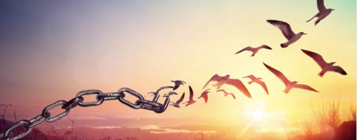 Shift Your Life For the Better- 2 Simple Ways - Rebecca Abraxas: High ...
